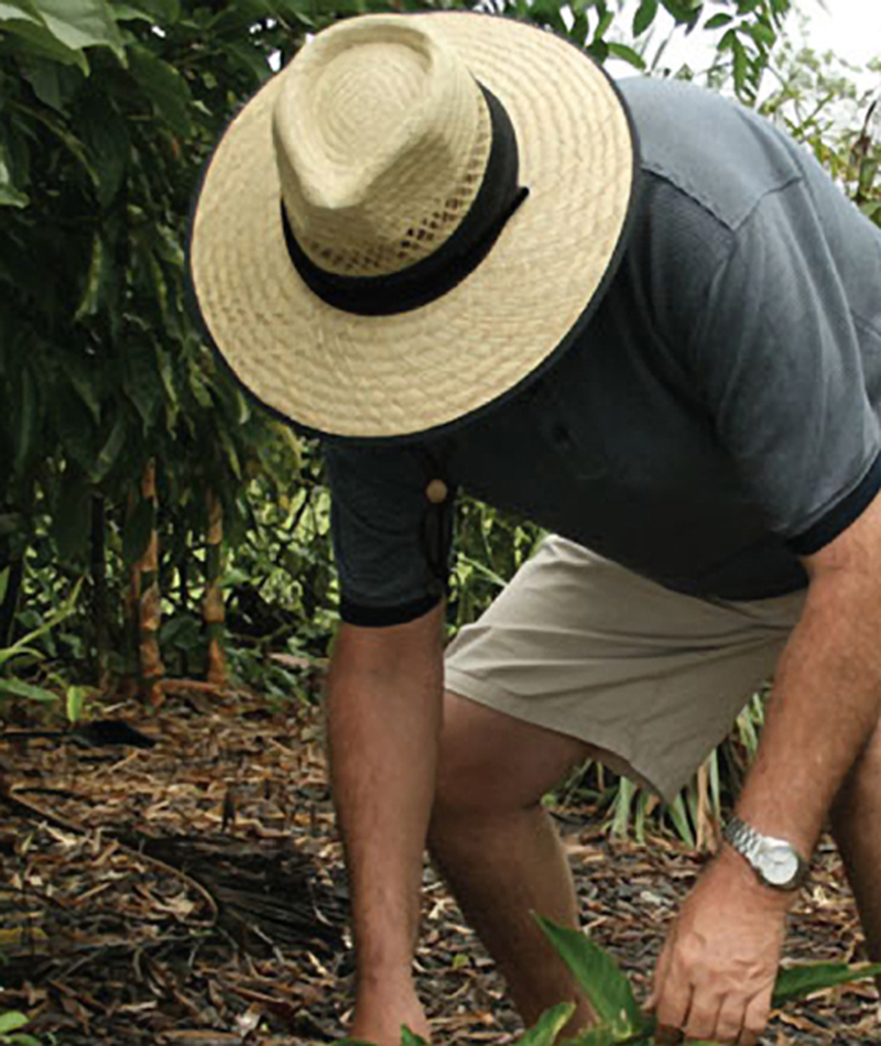 Mens' Straw Gardener - Curtis – Kooringal AU
